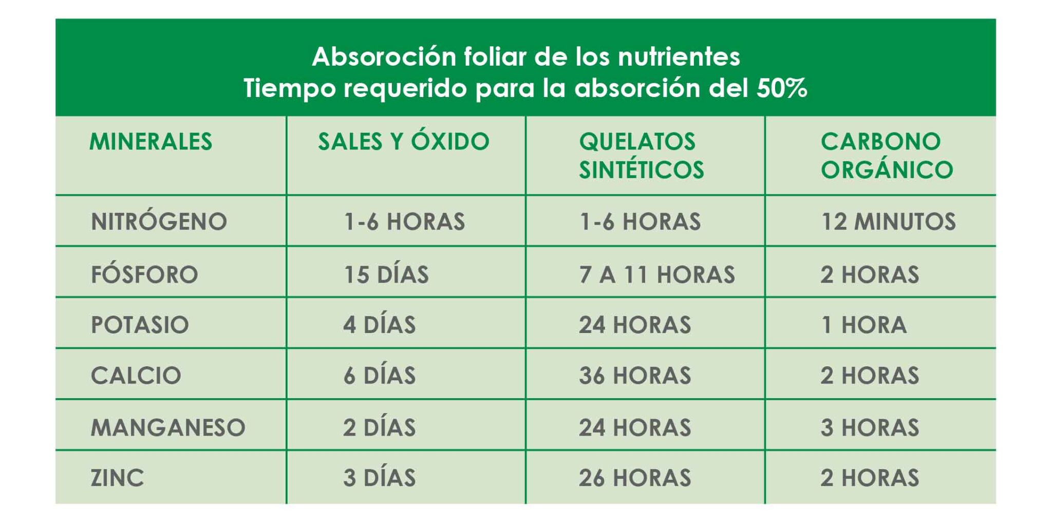 Importancia del Magnesio, Potasio y Fósforo en el cultivo de Café - RAMAC