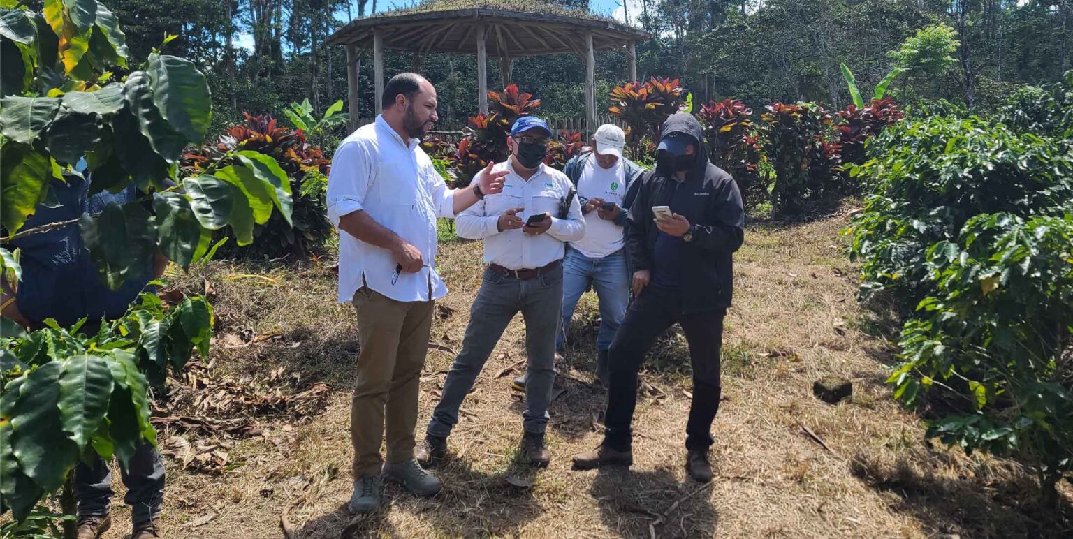Importancia del Magnesio, Potasio y Fósforo en el cultivo de Café - RAMAC