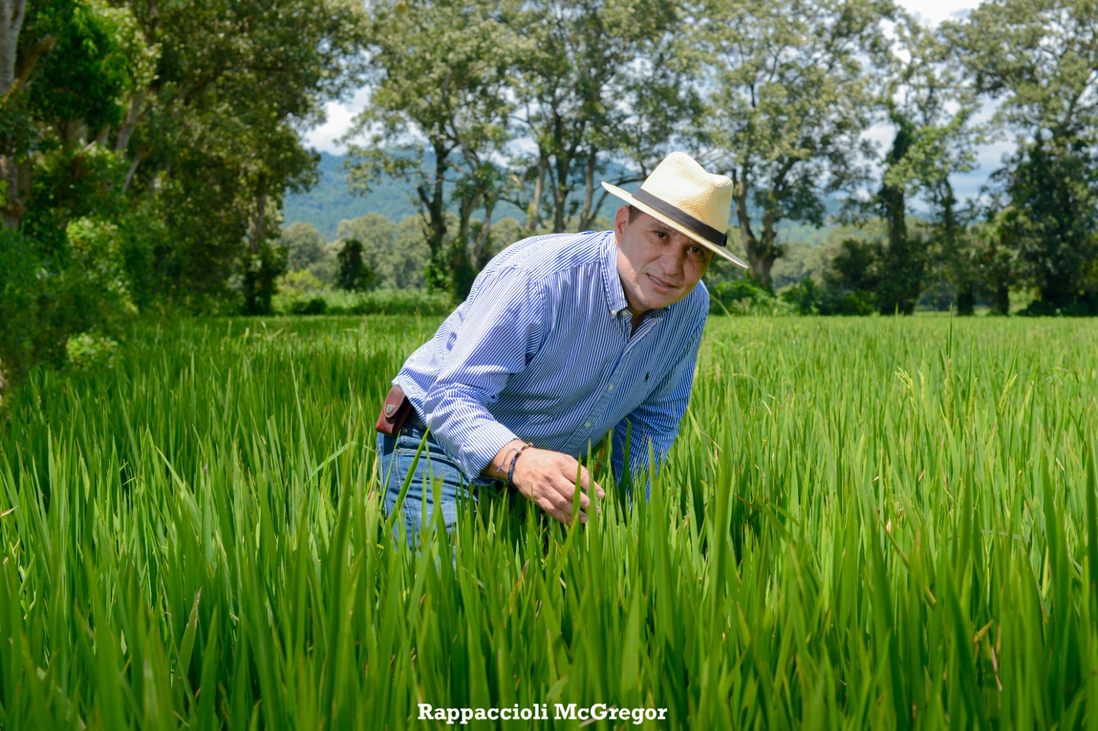 Día de campo, Manejo Integrado del Cultivo de Arroz - RAMAC