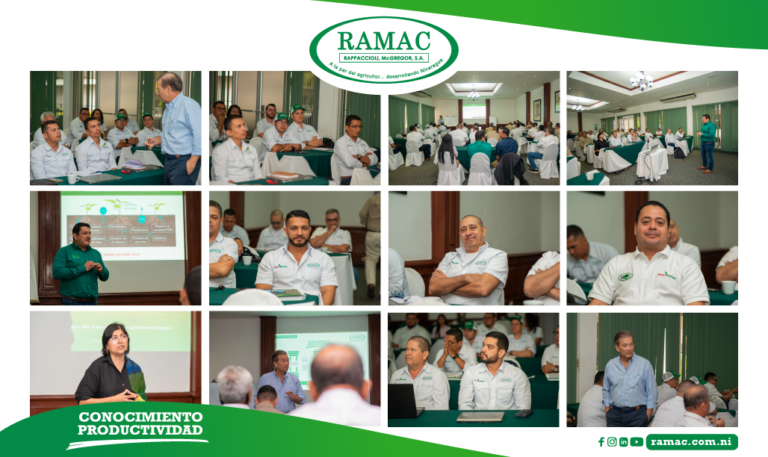 Conocimiento y Productividad: Reunión anual equipo RAMAC - RAMAC